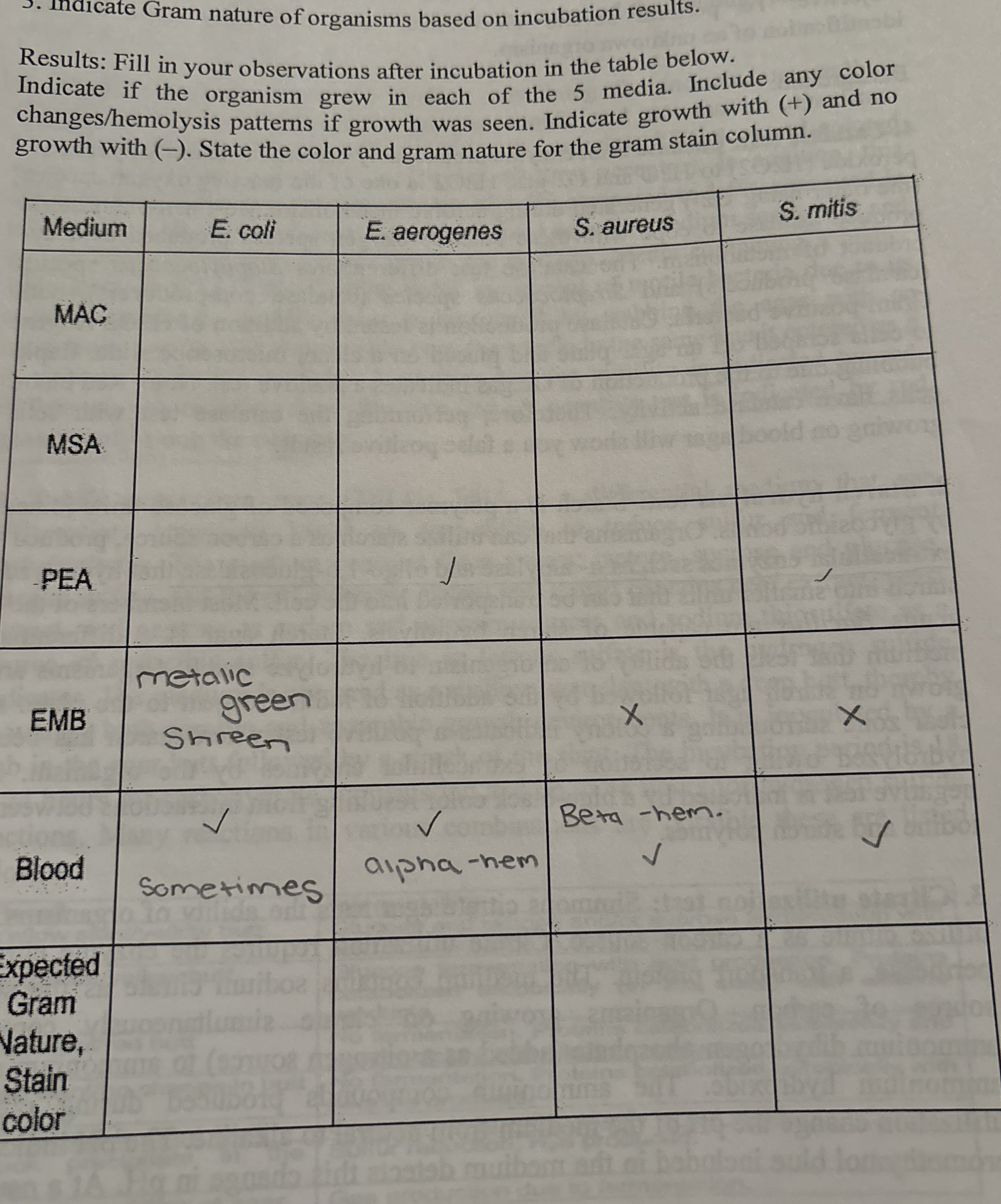 Solved indicate Gram nature of organisms based on incubation | Chegg.com