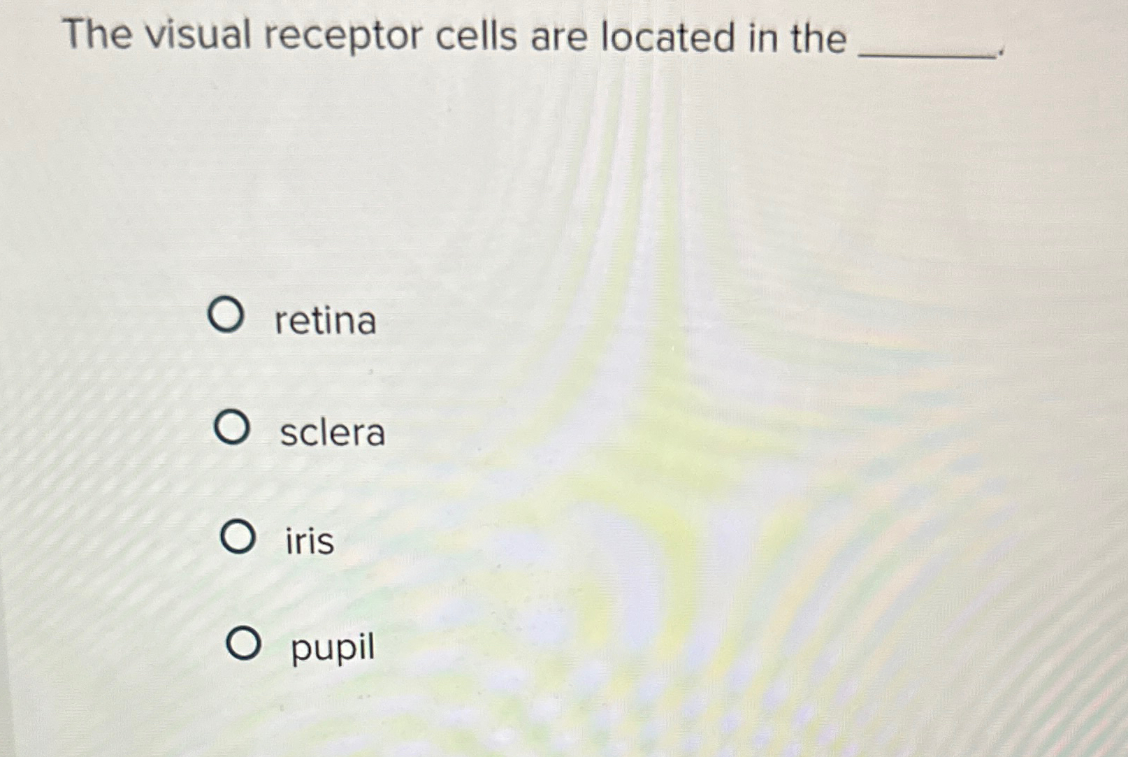 Solved The visual receptor cells are located in | Chegg.com