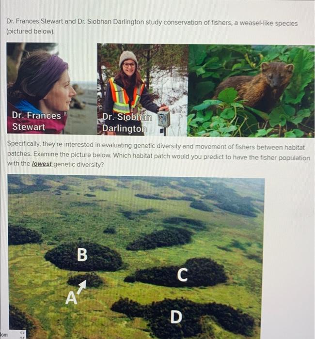 Dr. Frances Stewart and Dr. Siobhan Darlington study | Chegg.com