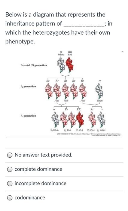 Solved Below is a diagram that represents the inheritance | Chegg.com
