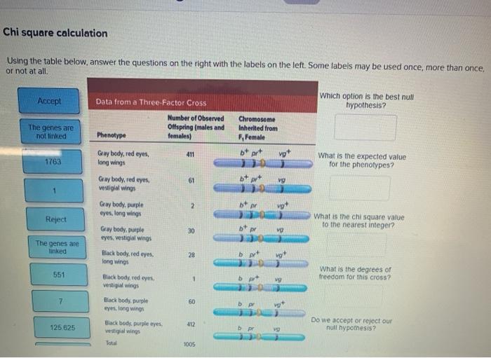 Solved Chi square calculation Using the table below, answer | Chegg.com