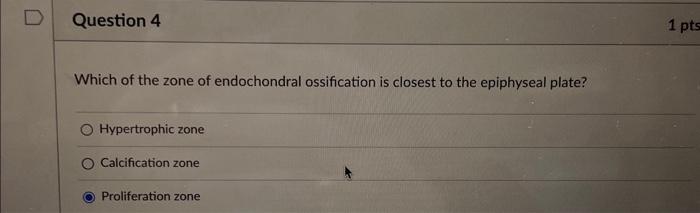Solved Which of the zone of endochondral ossification is | Chegg.com