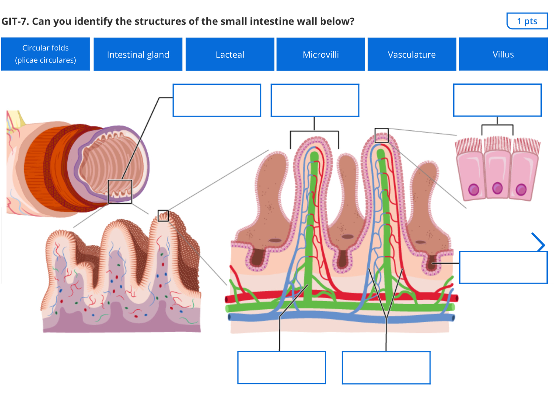 Solved GIT-7. ﻿Can you identify the structures of the small | Chegg.com