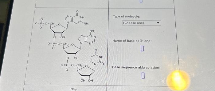 For each molecule in the table below: - Classify the | Chegg.com