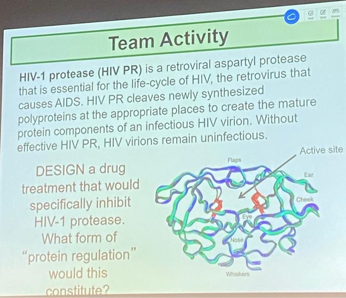 Solved HIV-1 protease (HIV PR) is a retroviral aspartyl | Chegg.com