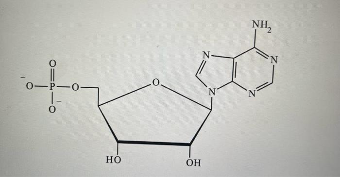 Solved name this structure | Chegg.com