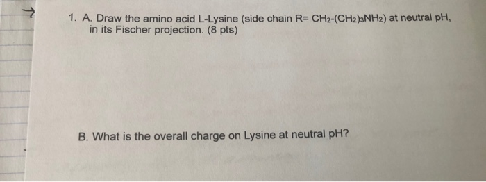 Solved 1. A. Draw the amino acid L-Lysine (side chain | Chegg.com