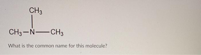 Solved CH3 CH3-N-CH3 What is the common name for this | Chegg.com