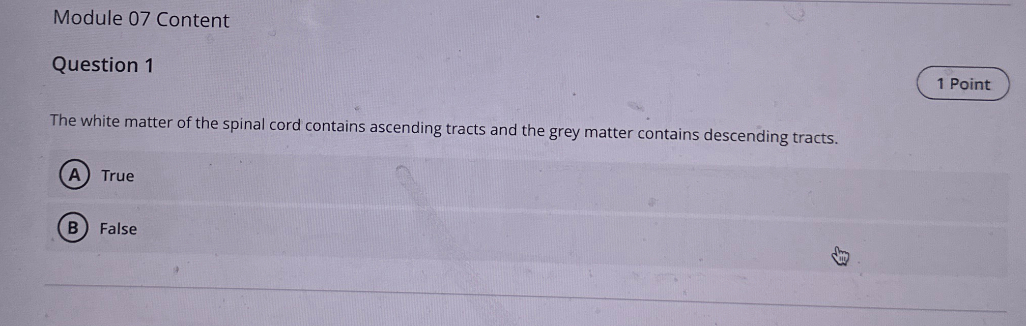 Solved Module 07 ﻿ContentQuestion 1The white matter of the | Chegg.com