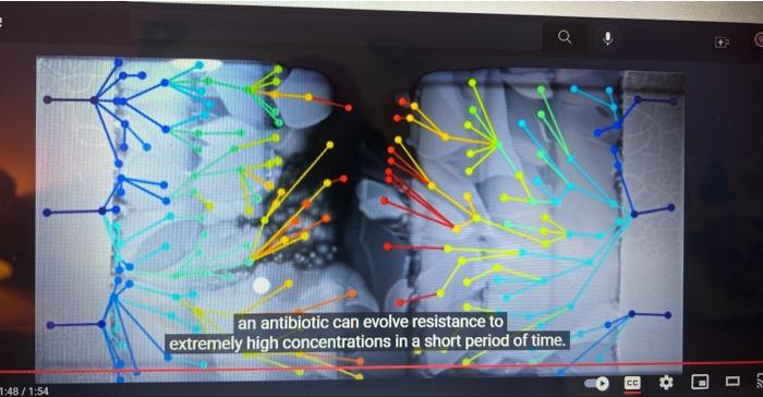 Solved 2. To study antibiotic resistance in bacteria, a team | Chegg.com