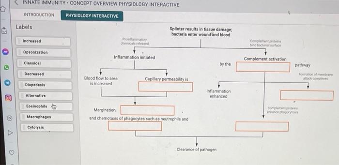 Solved INNATE IMMUNITY - CONCEPT OVERVIEW PHYSIOLOGY | Chegg.com Solved INNATE IMMUNITY - CONCEPT OVERVIEW PHYSIOLOGY | Chegg.com