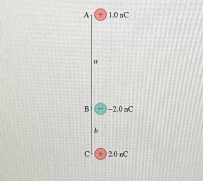Solved What Is The Magnitude Of The Net Electric Force On