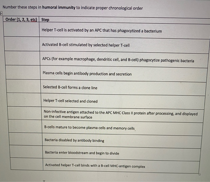 Solved Number these steps in humoral immunity to indicate | Chegg.com
