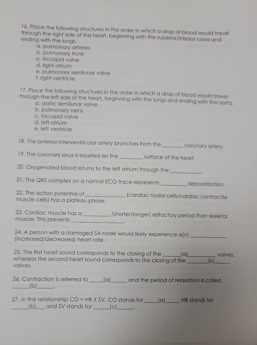 Heart Review Worksheet 1. The (a) circuit pumps blood | Chegg.com