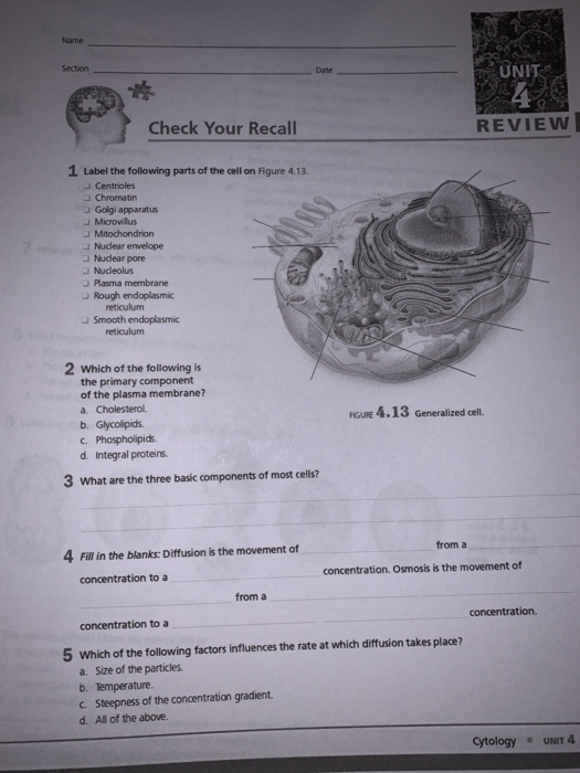Solved Name Section Date UNITS Check Your Recall REVIEW 1 | Chegg.com