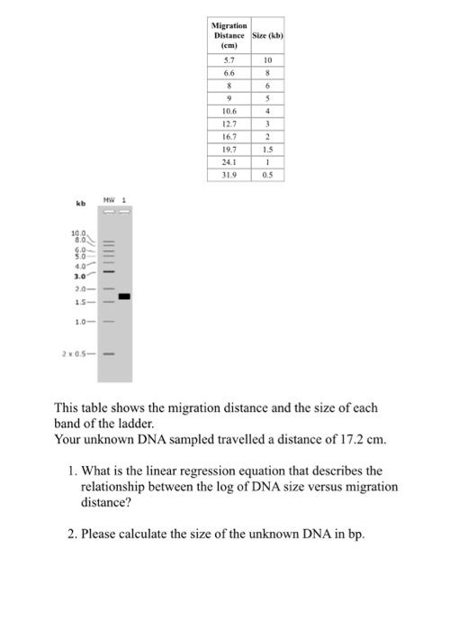 Solved This table shows the migration distance and the size | Chegg.com