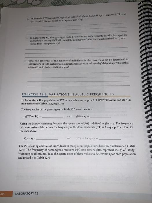 Solved What is the PTC tasting genotype of an individual | Chegg.com