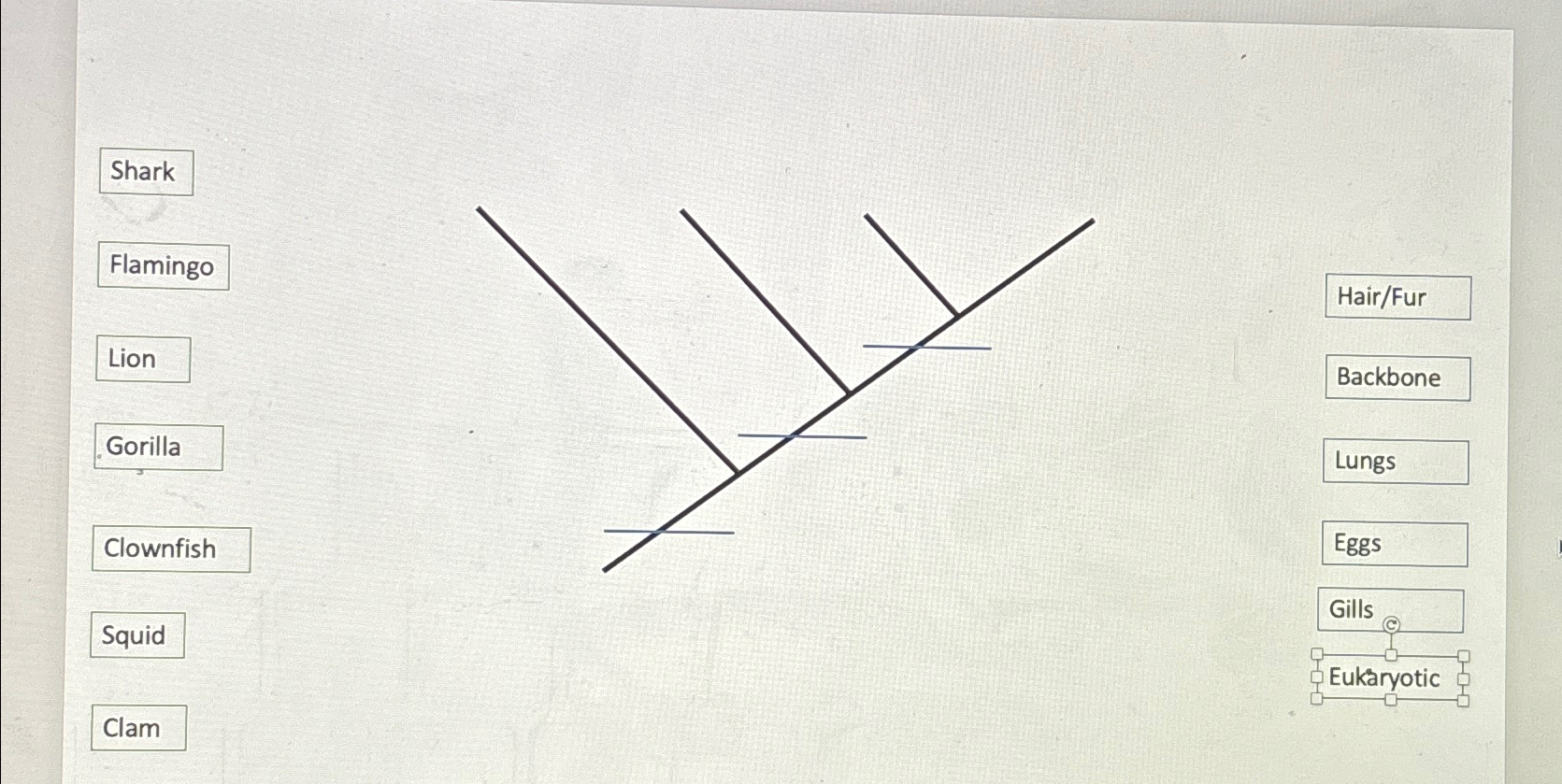 Solved For this assignment, you will create your own | Chegg.com