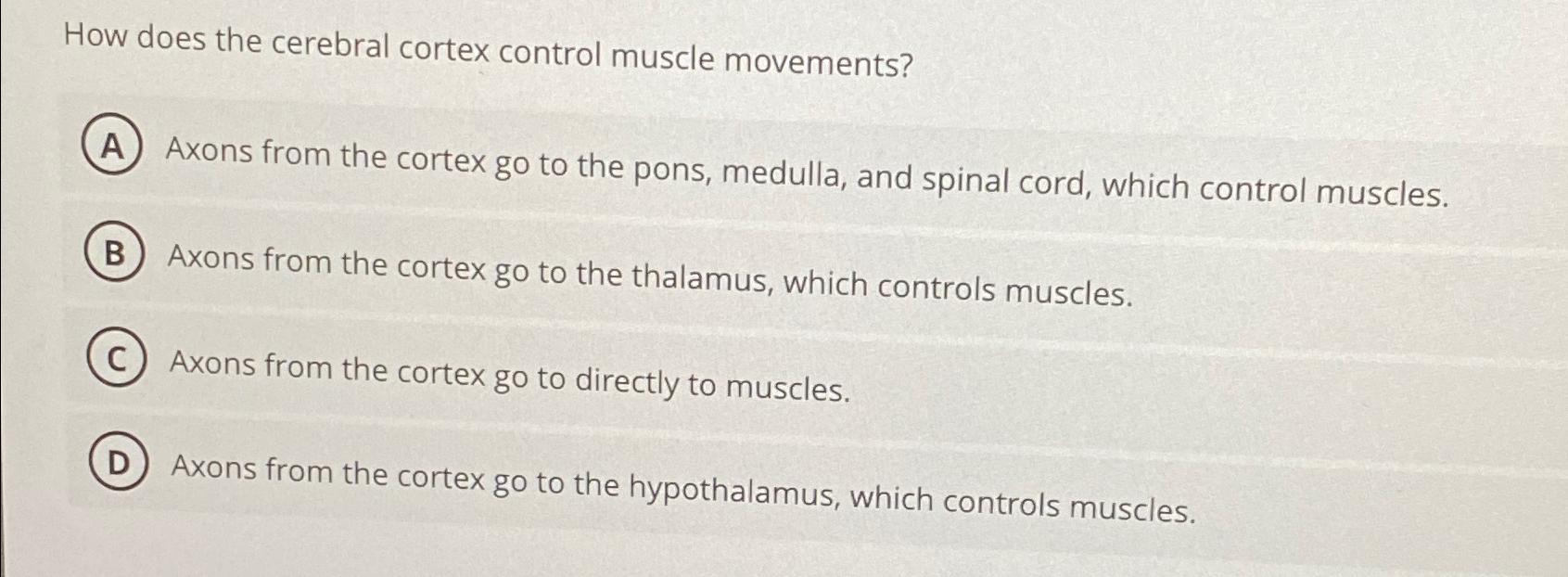 Solved How does the cerebral cortex control muscle | Chegg.com