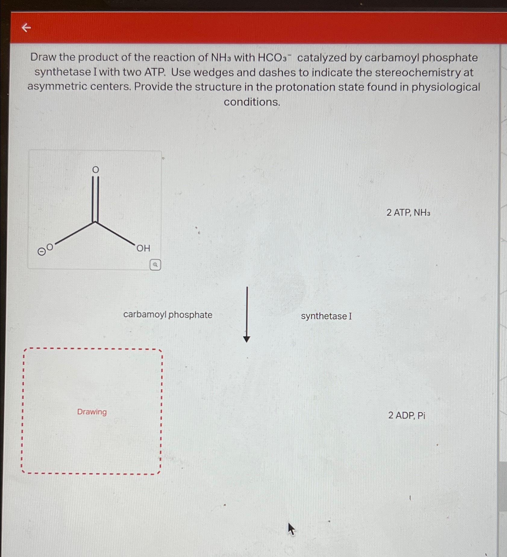 Solved Draw the product of the reaction of NH3 ﻿with | Chegg.com