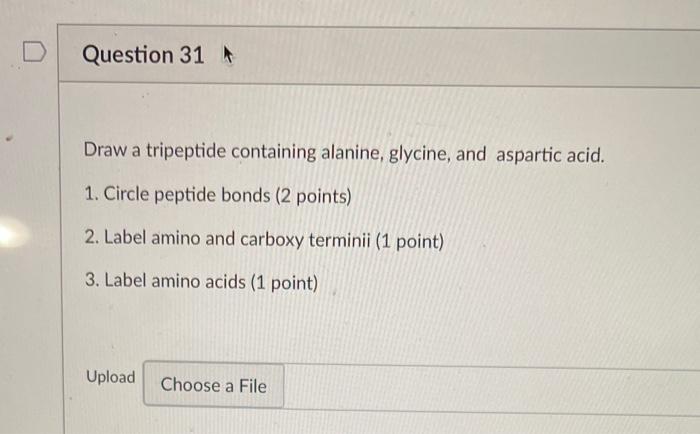 Solved Draw a tripeptide containing alanine, glycine, and | Chegg.com