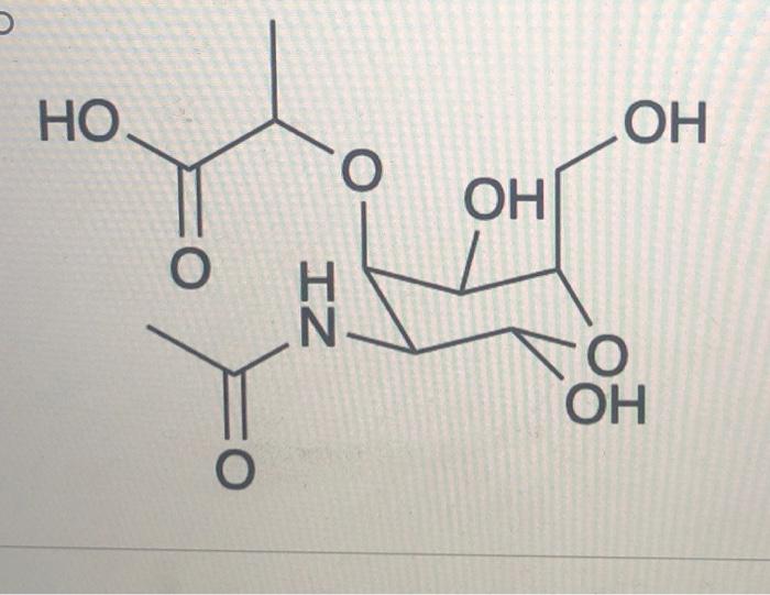 Solved N-Acetylmuramic acid (MurNAC) is a monosaccharide | Chegg.com
