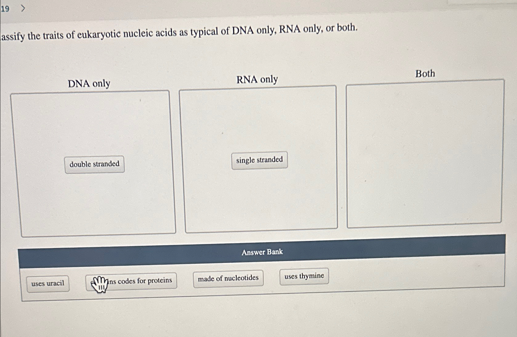 Solved 19assify the traits of eukaryotic nucleic acids as | Chegg.com