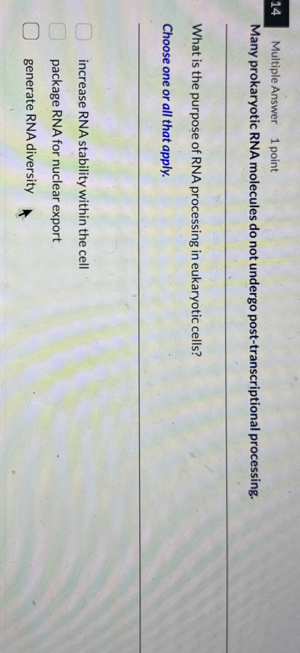 Solved 14Multiple Answer 1 ﻿pointMany prokaryotic RNA | Chegg.com