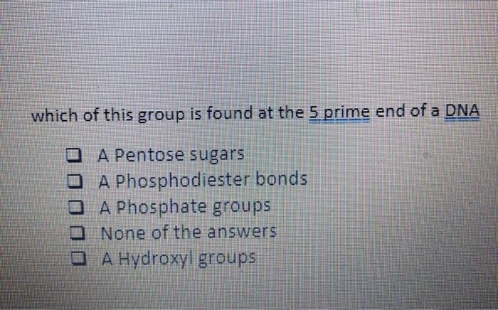 Solved which of this group is found at the 5 prime end of a | Chegg.com