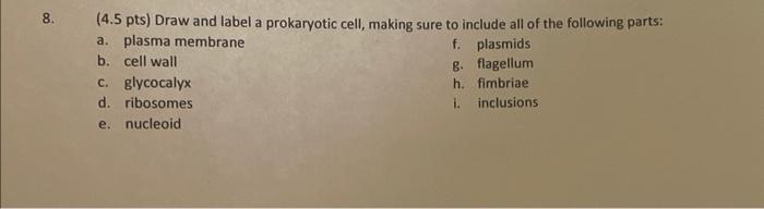 Solved (4.5 pts) Draw and label a prokaryotic cell, making | Chegg.com