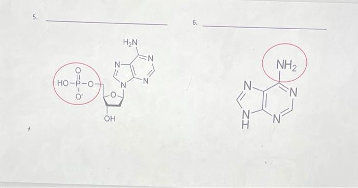 Solved Functional group identification worksheet Name the | Chegg.com Solved Functional group identification worksheet Name the | Chegg.com