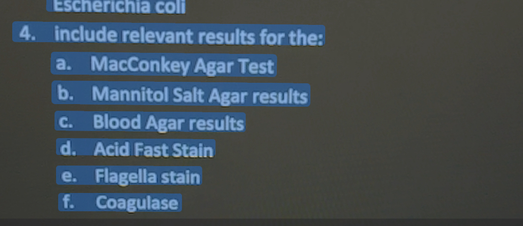 Solved include relevant results for the: Escherichia coli a. | Chegg.com