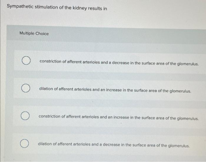 Solved Sympathetic stimulation of the kidney results in | Chegg.com