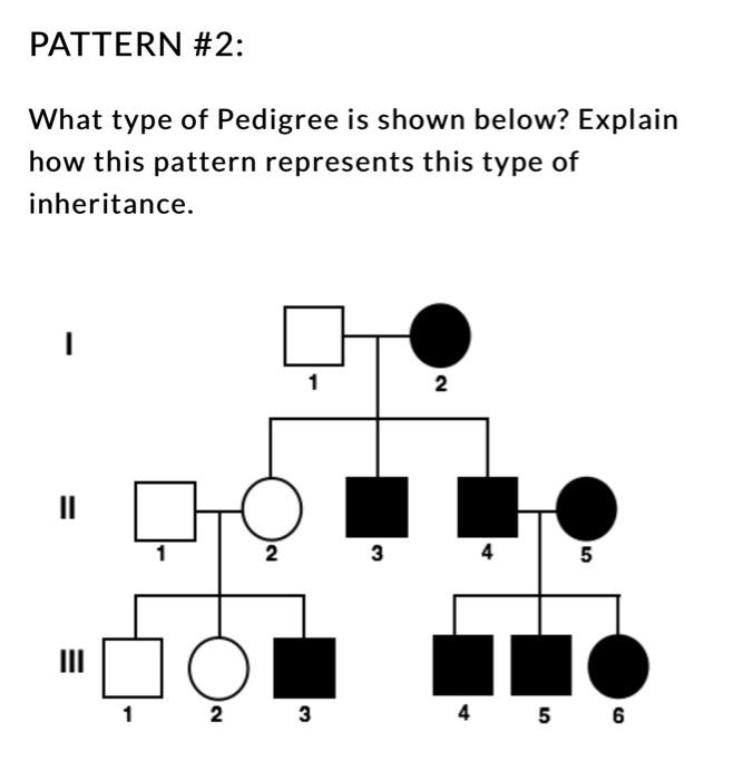 Solved PATTERN #1: What type of Pedigree is shown below? | Chegg.com