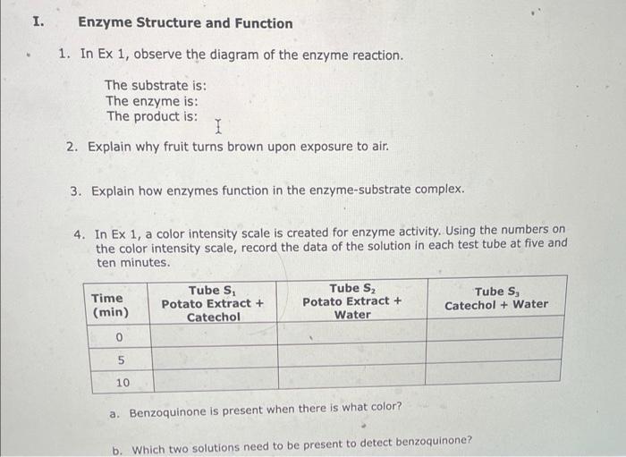 1. In Ex 1 , observe the diagram of the enzyme | Chegg.com