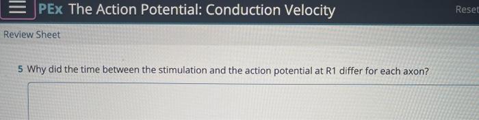 Solved Reset PEx The Action Potential: Conduction Velocity | Chegg.com