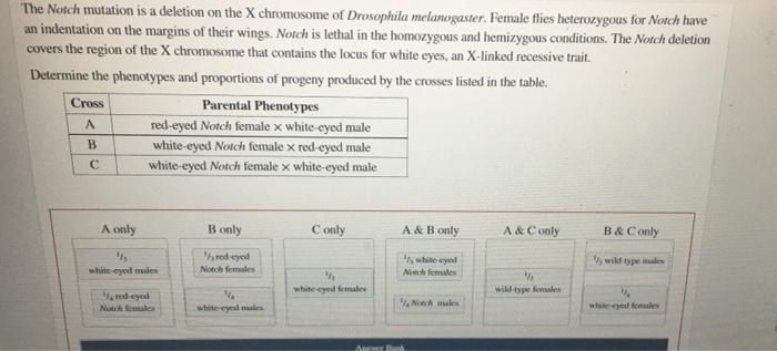 Solved The Notch mutation is a deletion on the X chromosome | Chegg.com