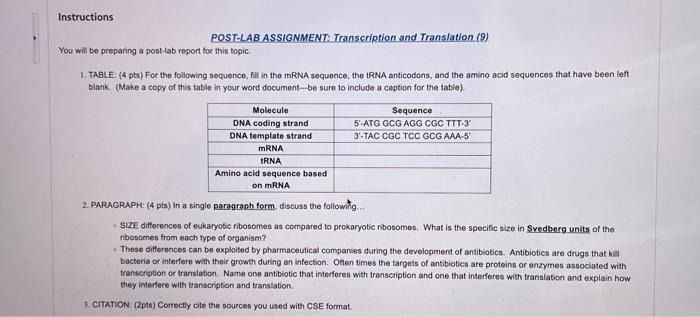 Solved POST-LAB ASSIGNMENT: Transcription and Translation | Chegg.com