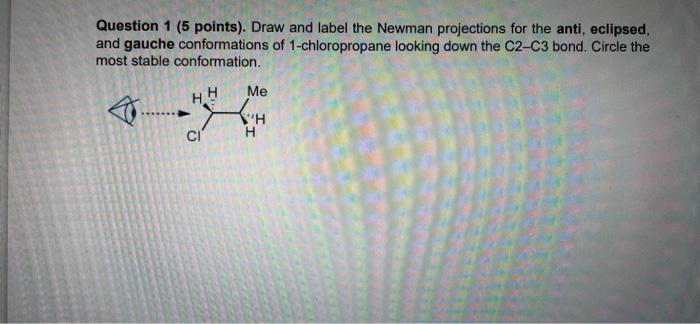 Solved Question 1 (5 points). Draw and label the Newman | Chegg.com