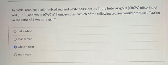 Solved In cattle, roan coat color (mixed red and white | Chegg.com