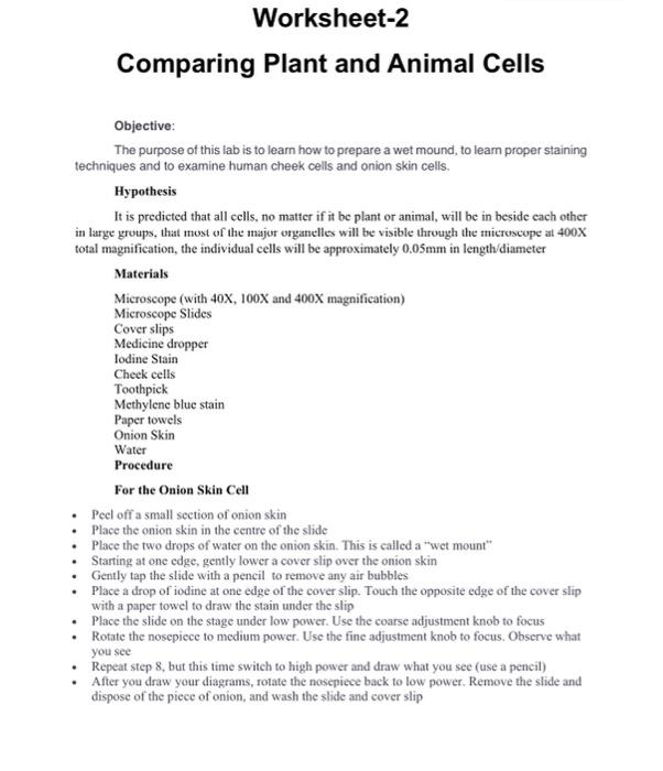 Solved Comparing Plant and Animal Cells Objective: The | Chegg.com