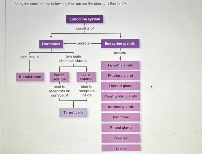 Solved Study the concept map below and then answer the | Chegg.com