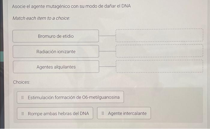Solved Asocie el agente mutagénico con su modo de dañar el | Chegg.com