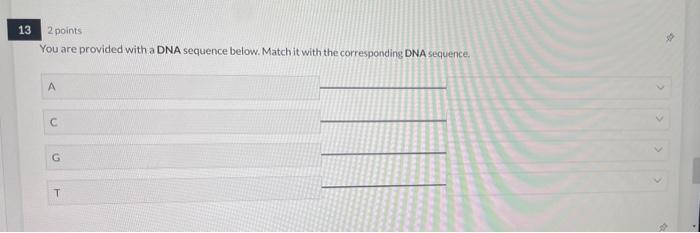 You are provided with a DNA sequence below. Match it | Chegg.com