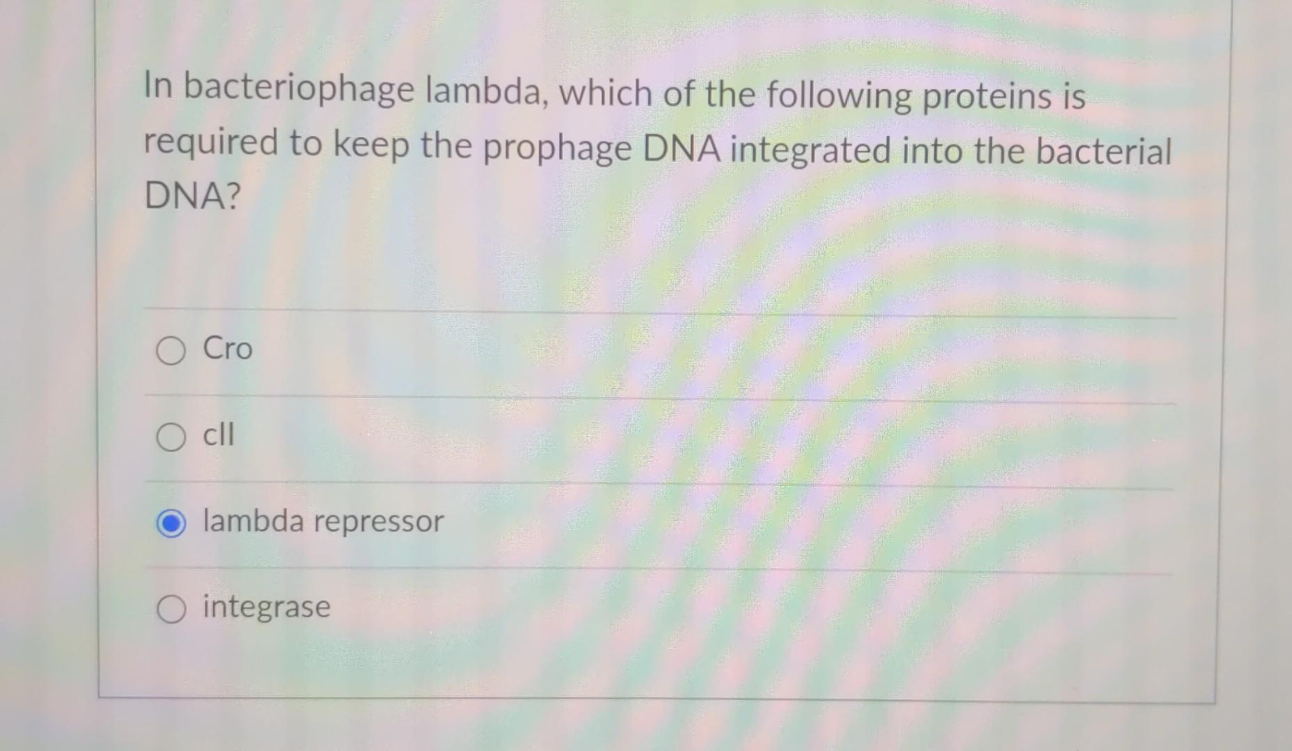Solved In bacteriophage lambda, which of the following | Chegg.com