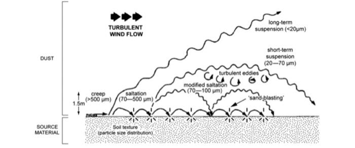 Solved A. Grain size B. Rounding Pebbles 4-64 mm "Gravel > | Chegg.com