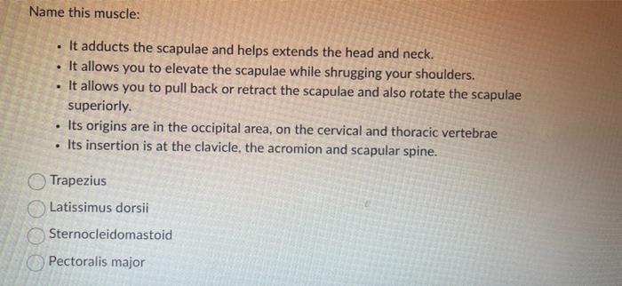 Solved - It adducts the scapulae and helps extends the head | Chegg.com