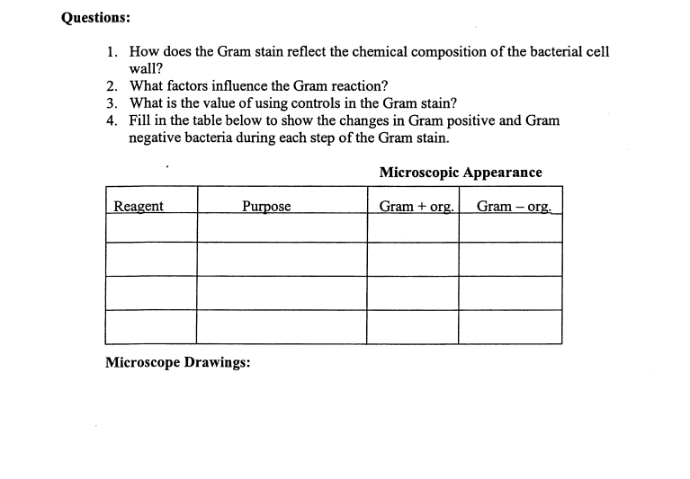 Solved Questions:How does the Gram stain reflect the | Chegg.com