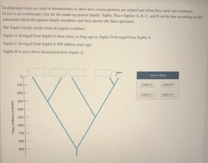 Solved evolutionary trees are used in biochemistry ti show | Chegg.com