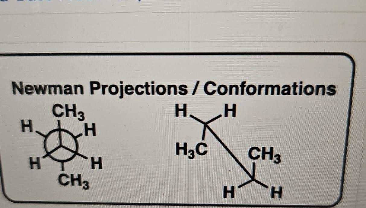 Solved Newman Projections / ﻿Conformations | Chegg.com